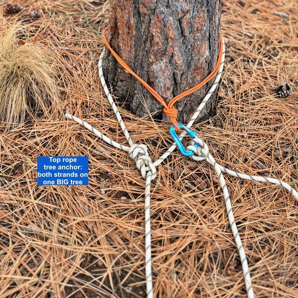 Trees for climbing anchors: Part 3, Top Rope — Alpinesavvy