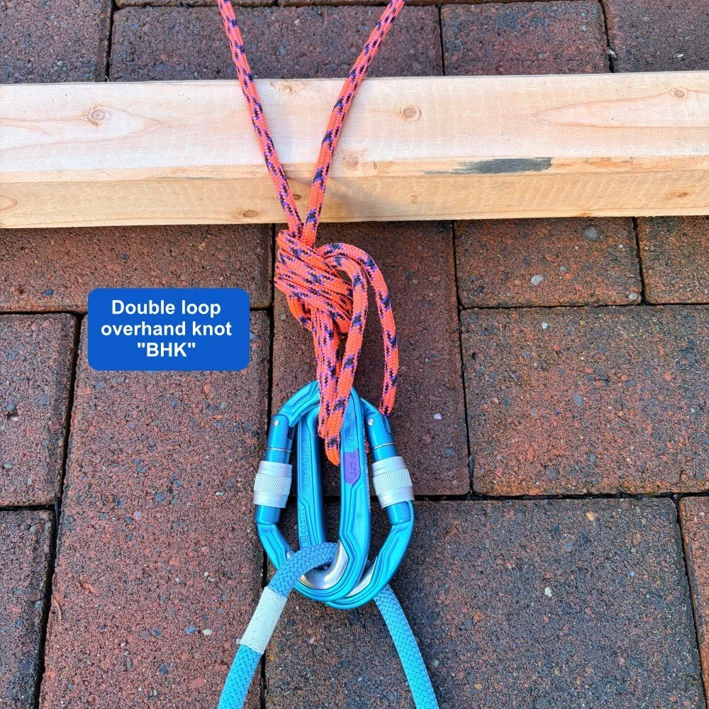 Trees for climbing anchors: Part 3, Top Rope — Alpinesavvy