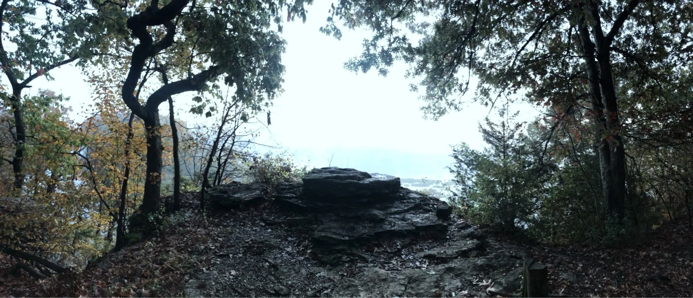 Easy Lake Springfield Park Stroll — GOAS