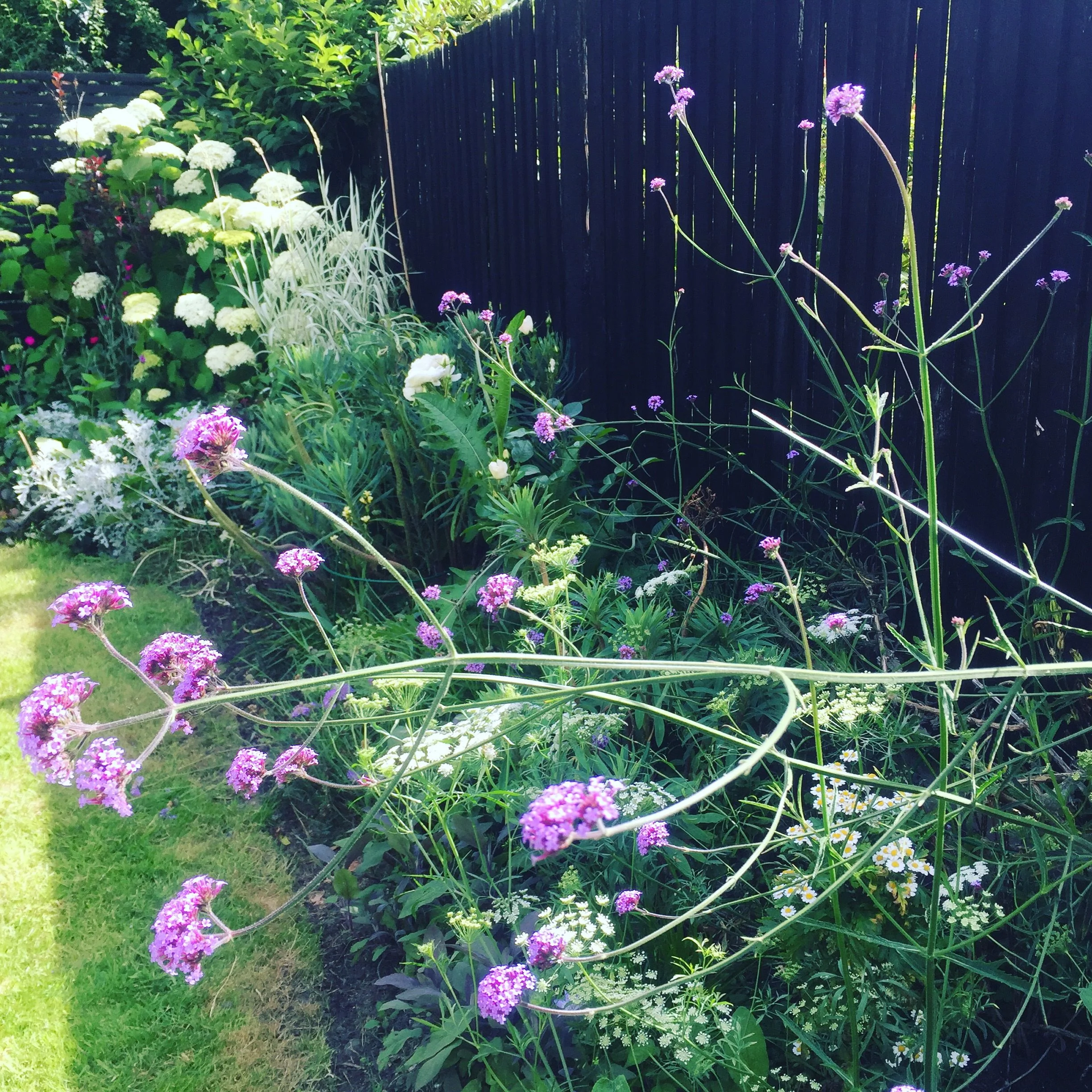 Melanie Hick Garden Design London — Melanie Hick