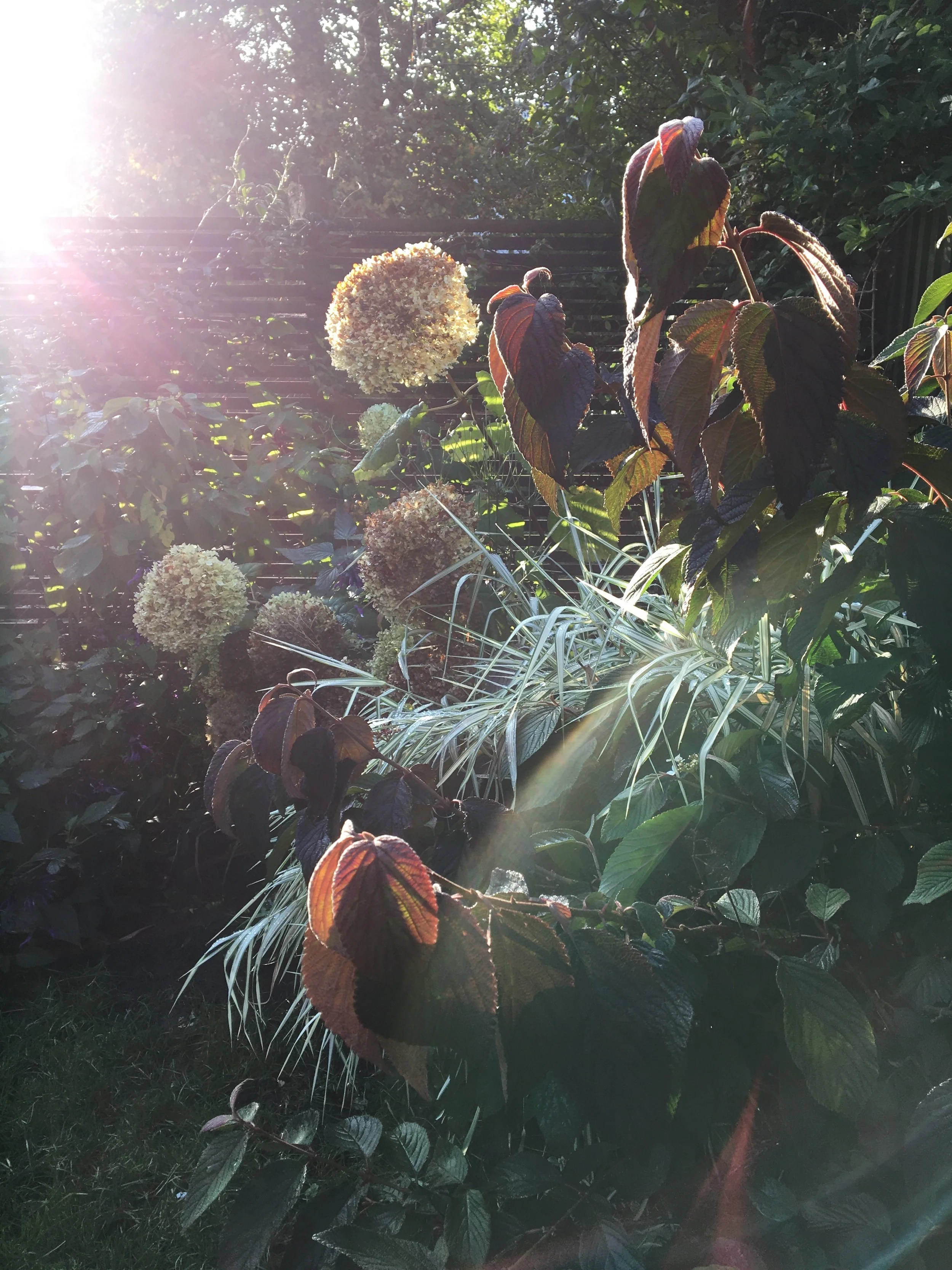 Melanie Hick - Landscape & Garden Design, London