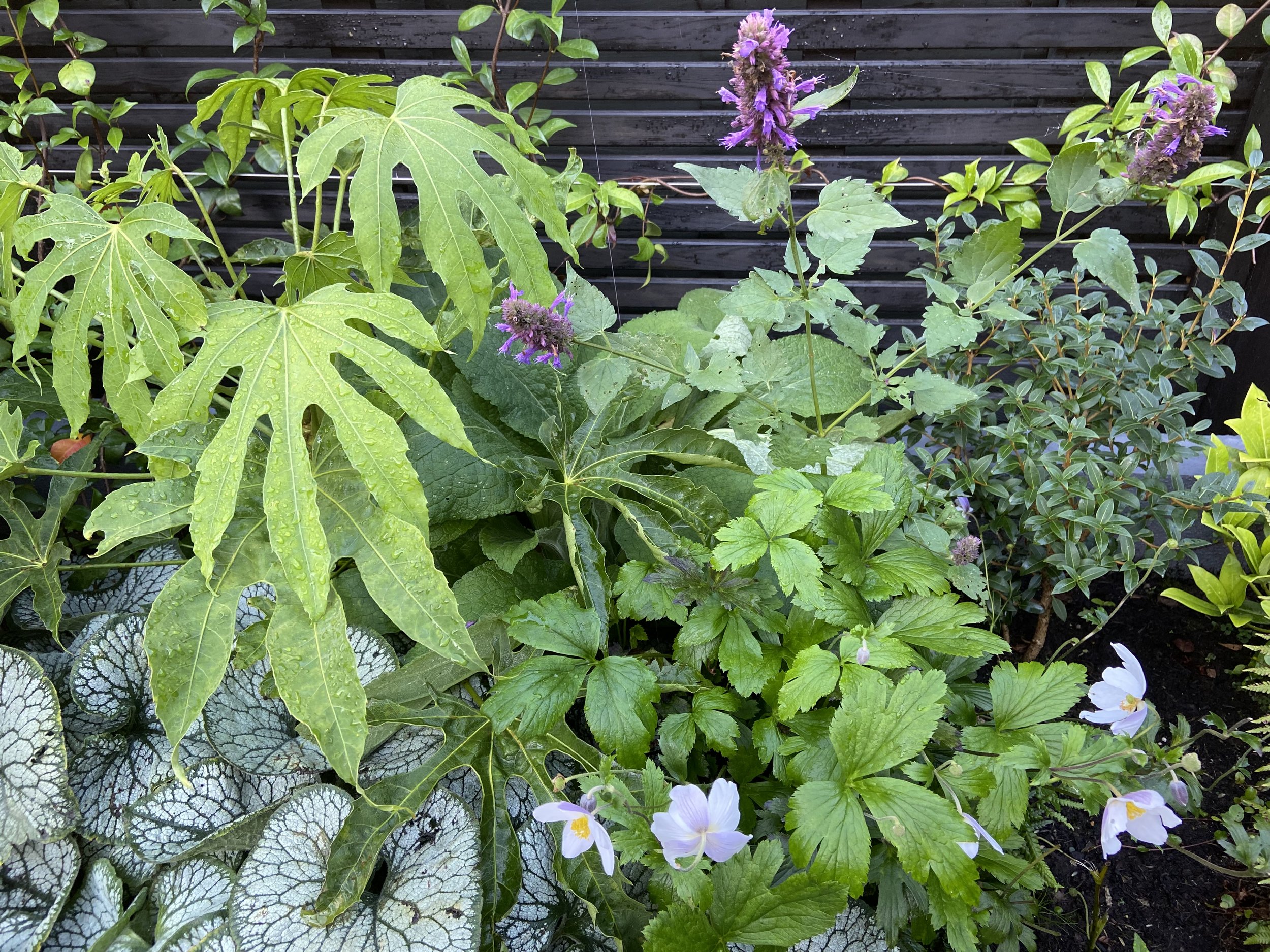 Melanie Hick - Landscape & Garden Design, London