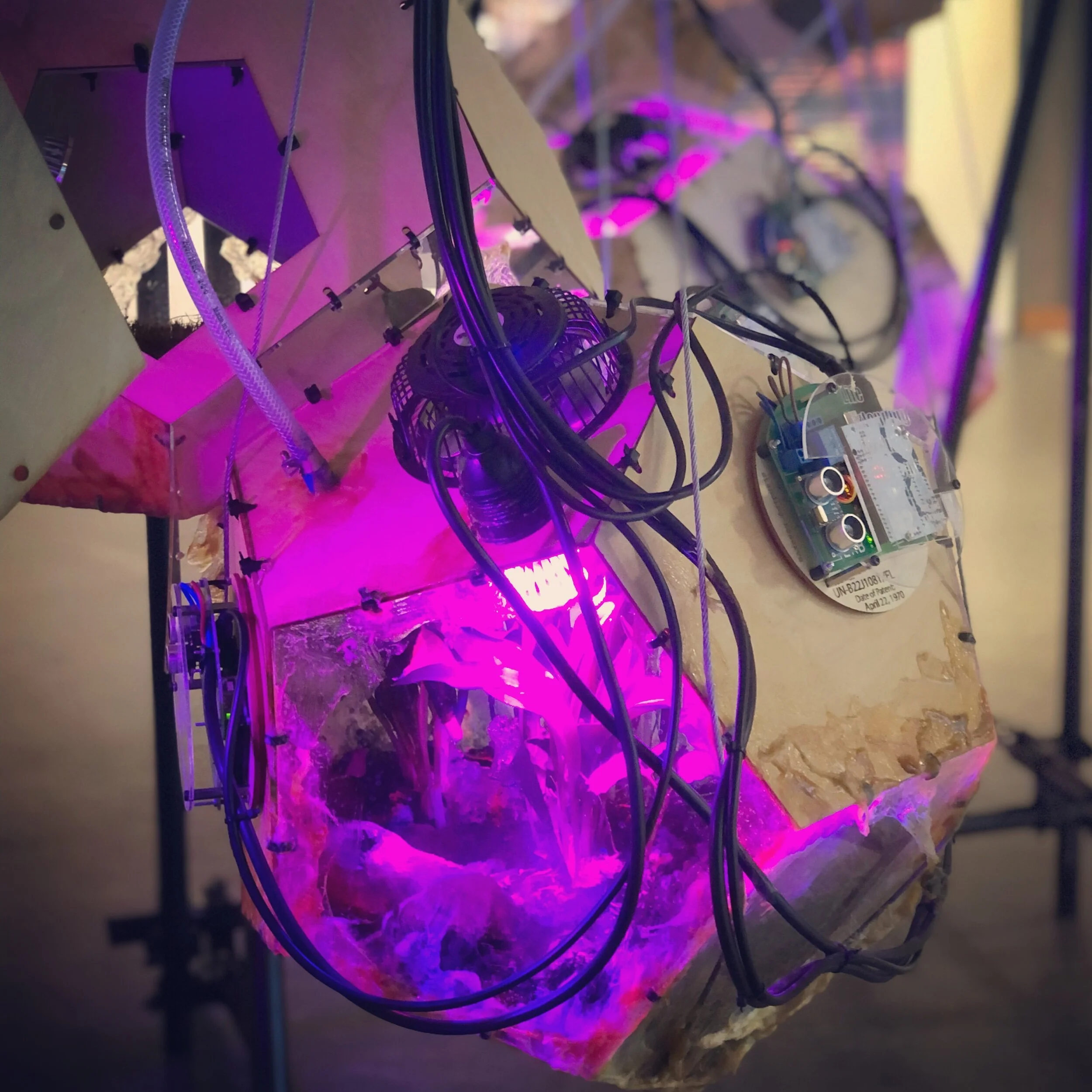 LEMS - Life Extending Modular System — Art & Culture Lab