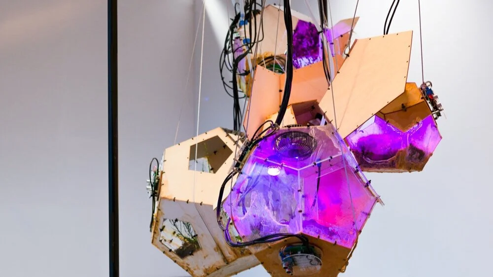 LEMS - Life Extending Modular System — Art & Culture Lab