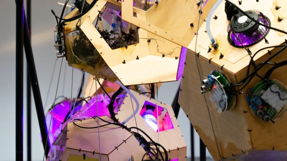 LEMS - Life Extending Modular System — Art & Culture Lab