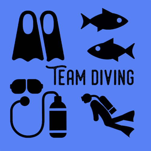 Team Alp — Skovbo Efterskole