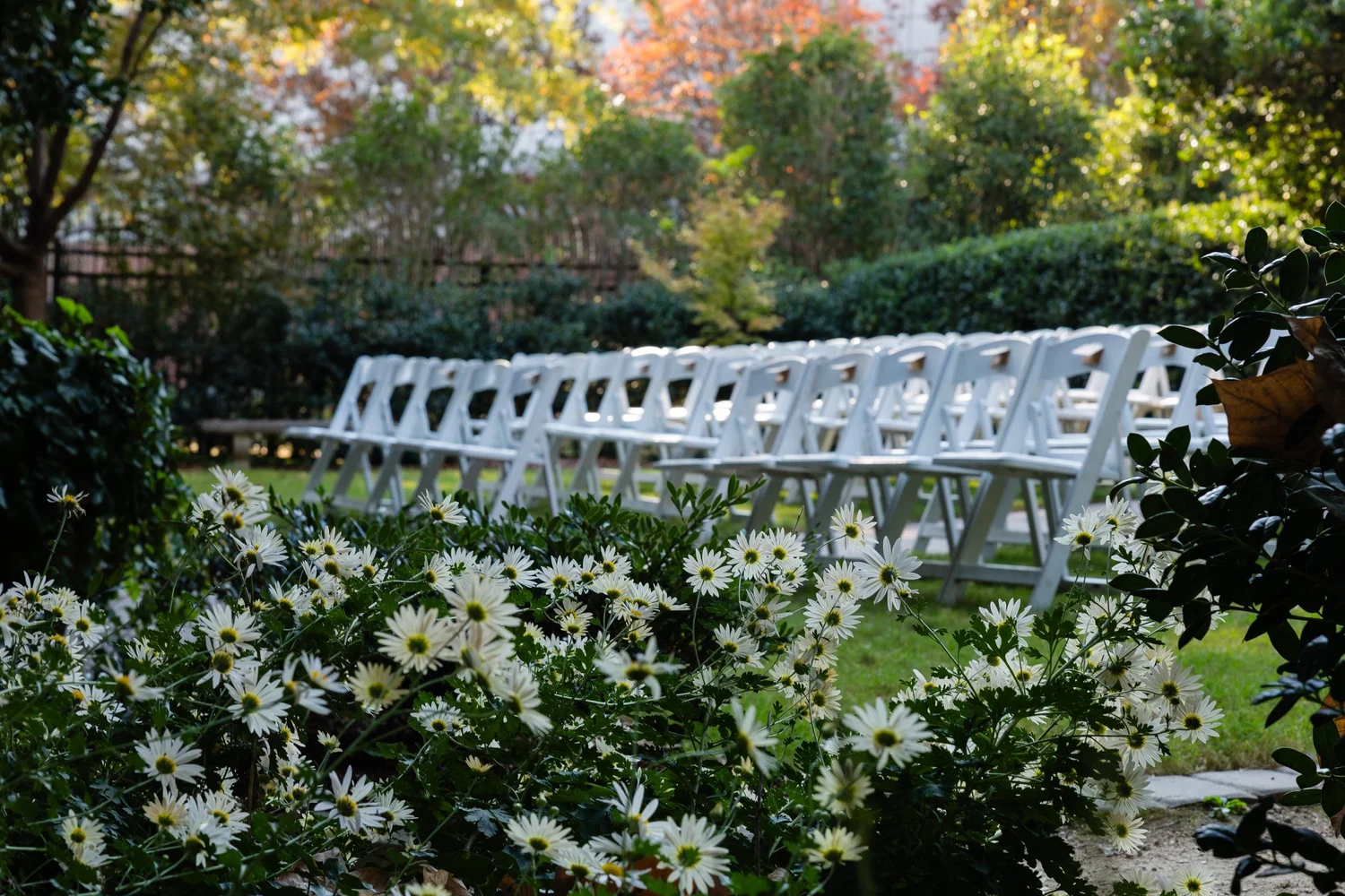 The McGill Rose Garden