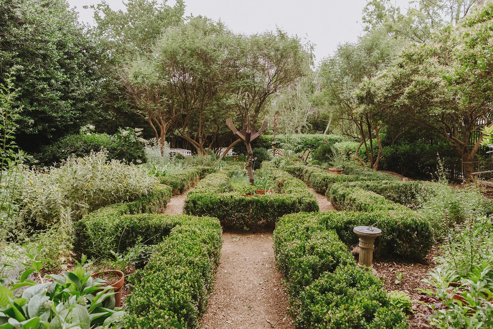 The McGill Rose Garden
