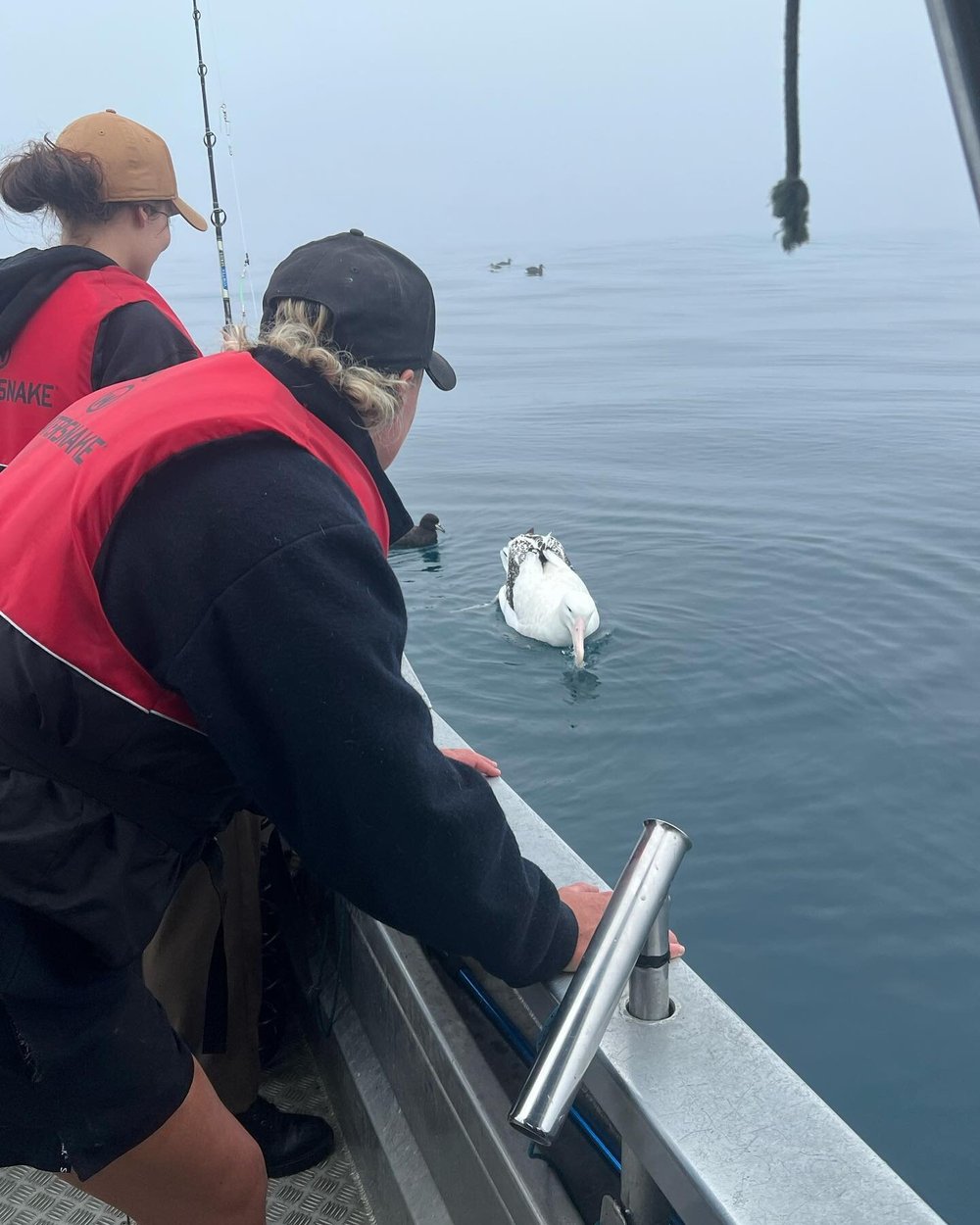 Top Catch Fishing Charters Kaikoura