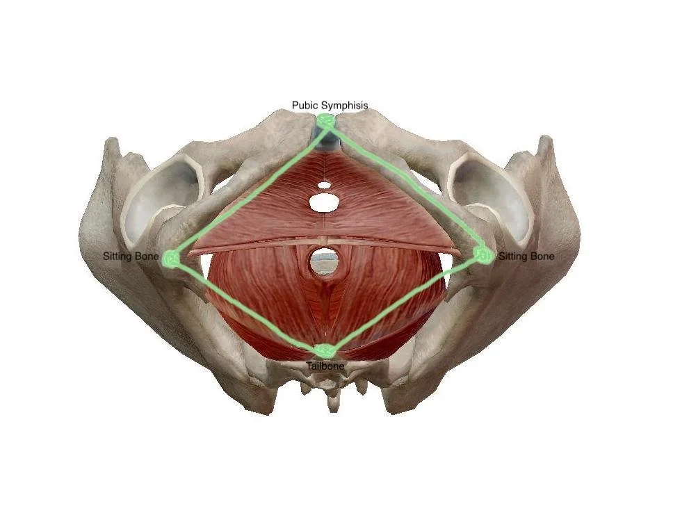 Sarah B Yoga Podcast Episode 89: Rolling a Ball Hip to Hip with Pelvic ...