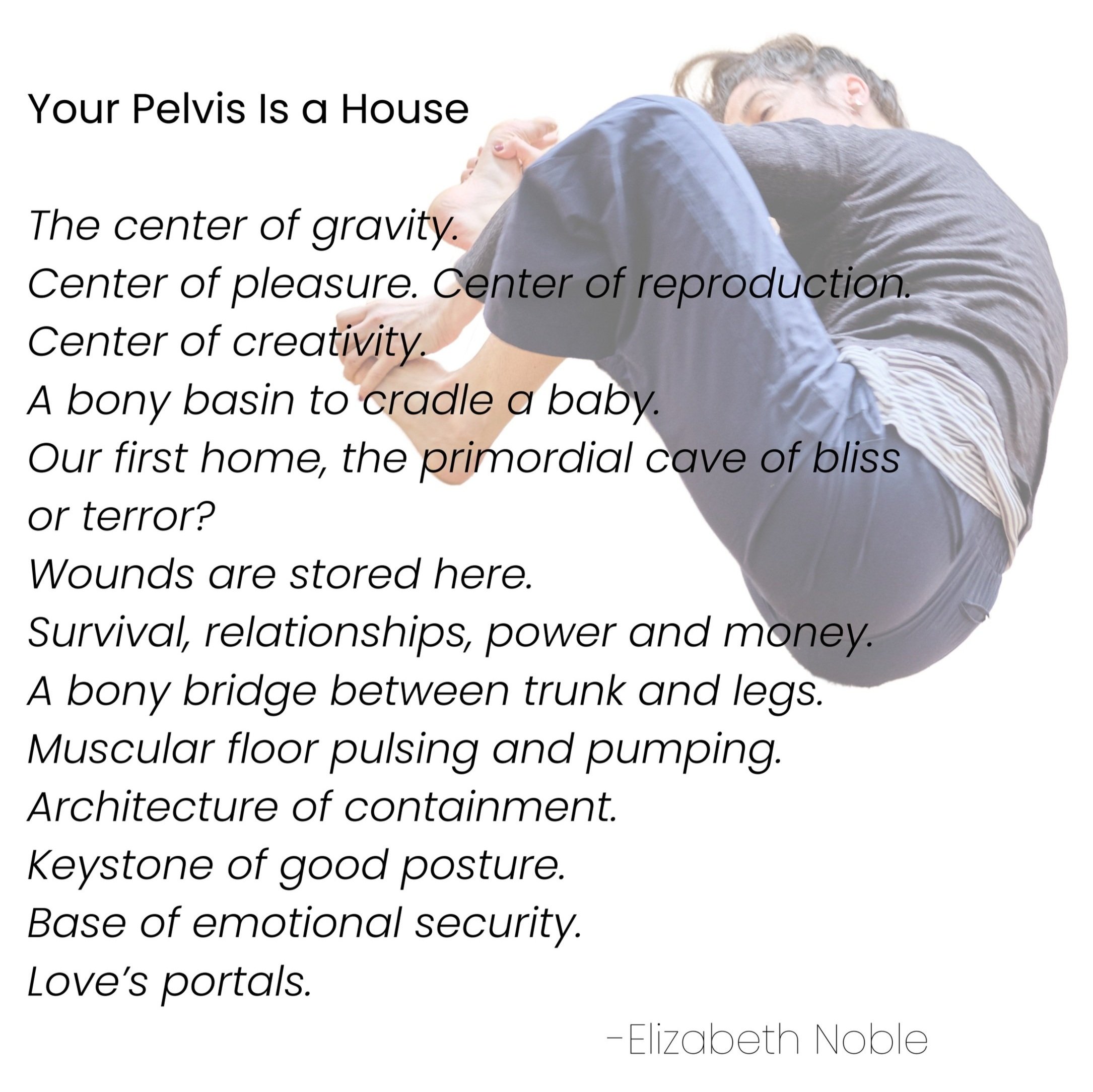 Feldenkrais- Access Your Poetic Pelvis - An Awareness Through Movement ...