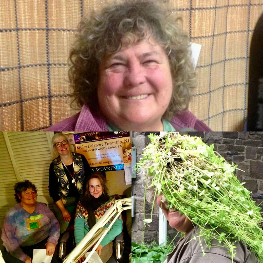 Into the Garden — WDVRfm.org