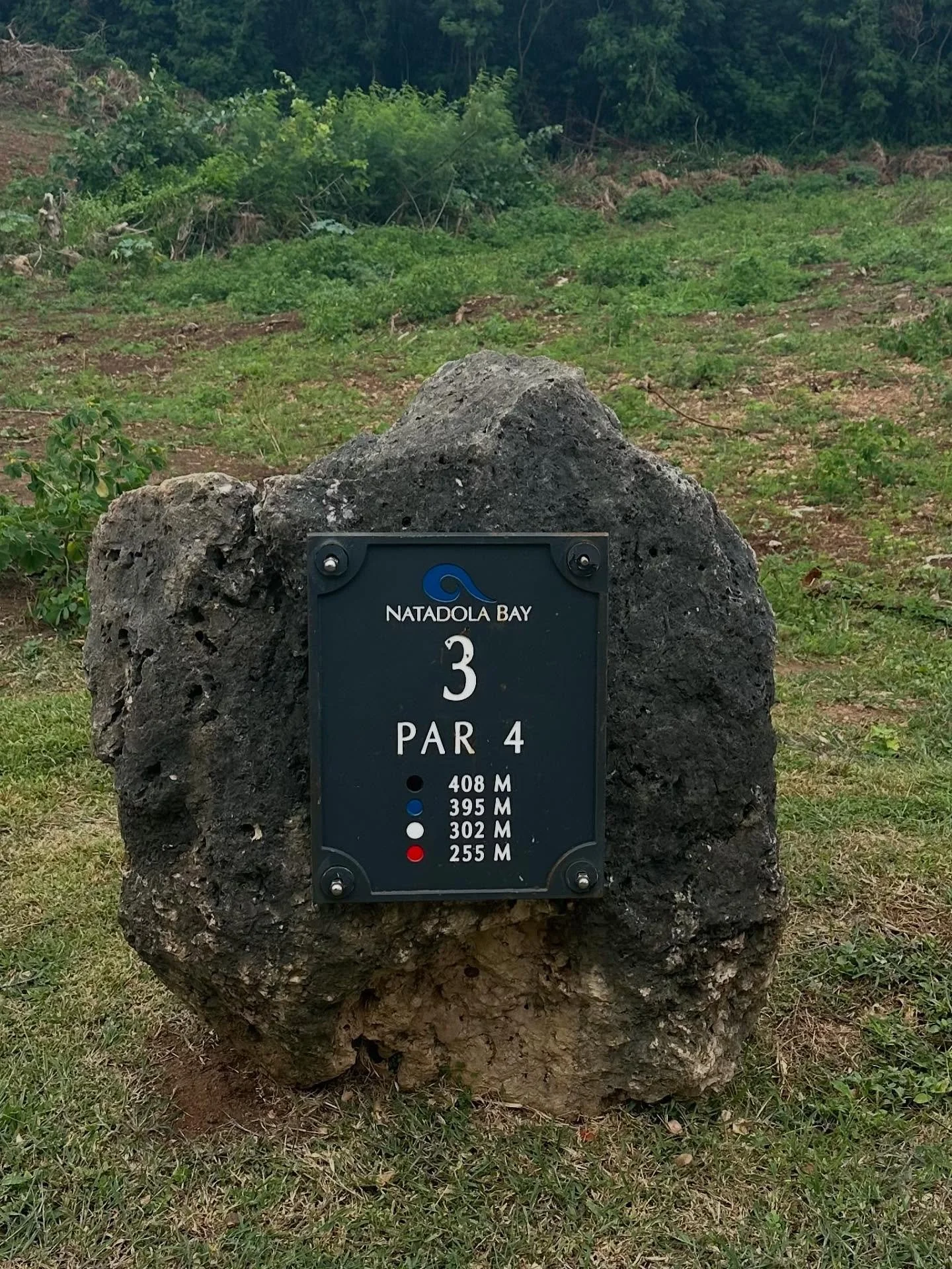 Dint Putters