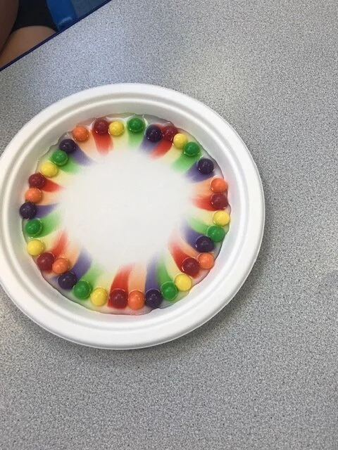 Juniper Class experiment with Skittles — Stanmore Primary Winchester