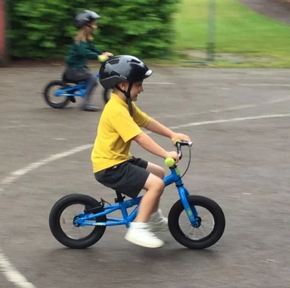 Bikes, Science and the New Forest — Stanmore Primary Winchester