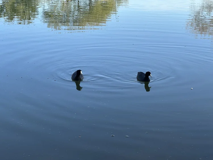 blog - Bridges Reetry, Inc.