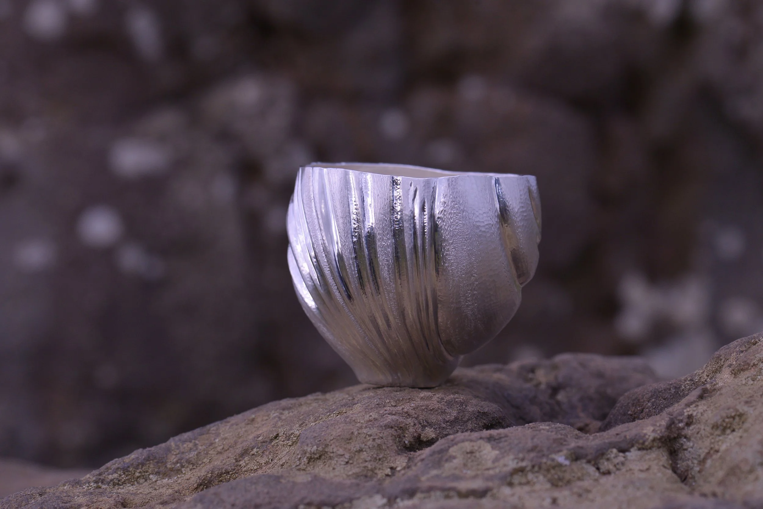 Hollow Way Silver Vessel — Abigail Brown