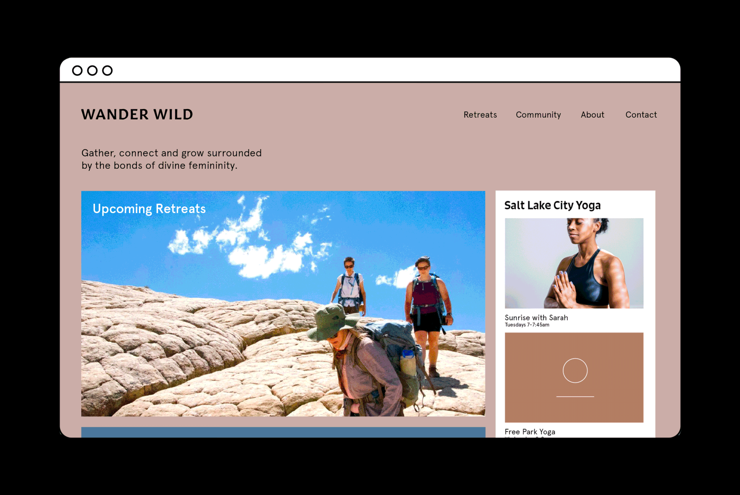 Wander Wild — Low Sun Studio