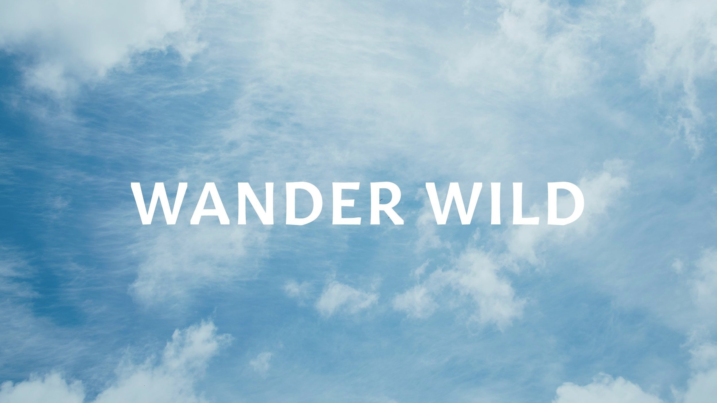 Wander Wild — Low Sun Studio