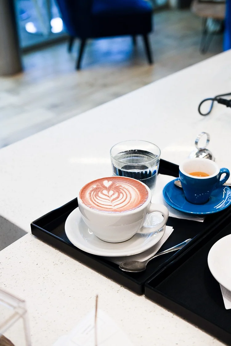 The Elephant Coffee Cafe de Especialidad Santiago