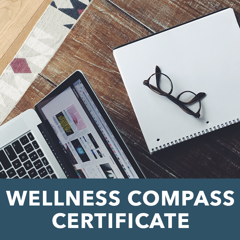 Wellness Circle Tutorials — The Wellness Compass Initiative