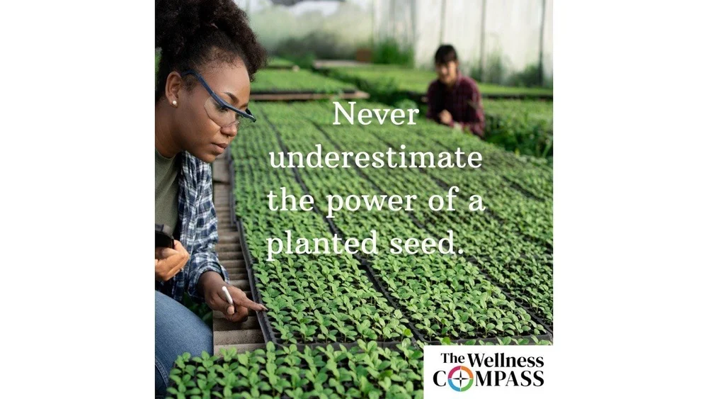 The Power of Planting Seeds — The Wellness Compass Initiative