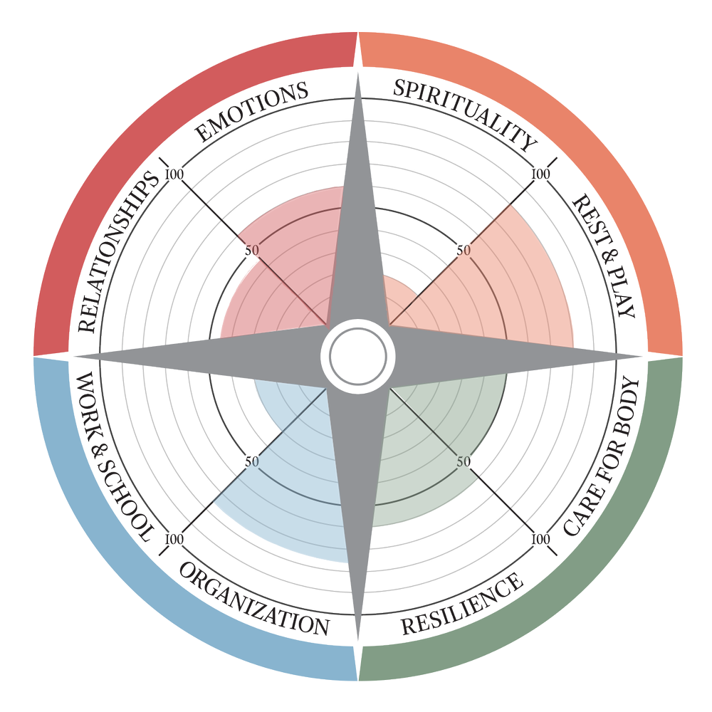 Assessments — The Wellness Compass Initiative
