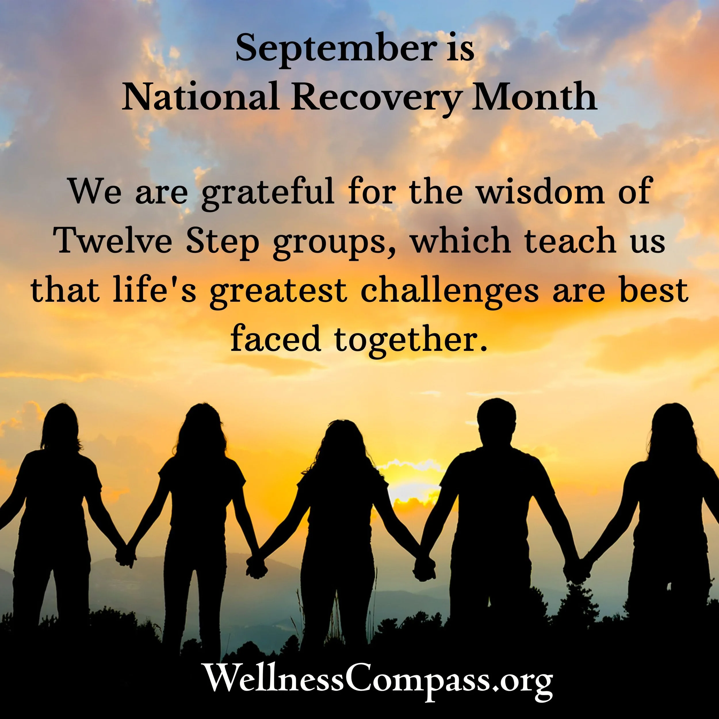 "Wellness Wisdom for Everyone from the Twelve Steps: Celebrating ...