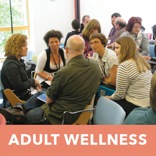 The Wellness Compass Initiative