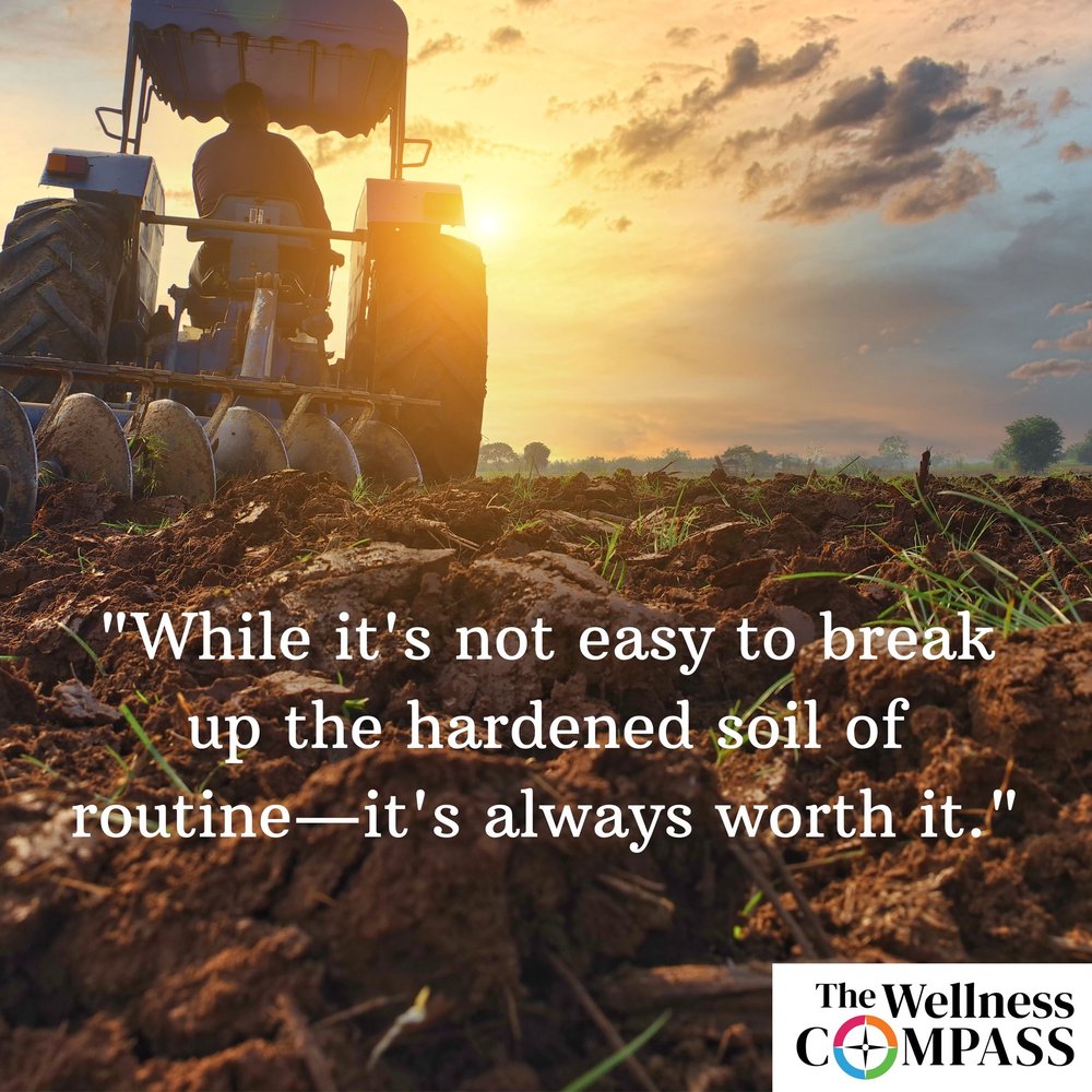 Podcast — The Wellness Compass Initiative