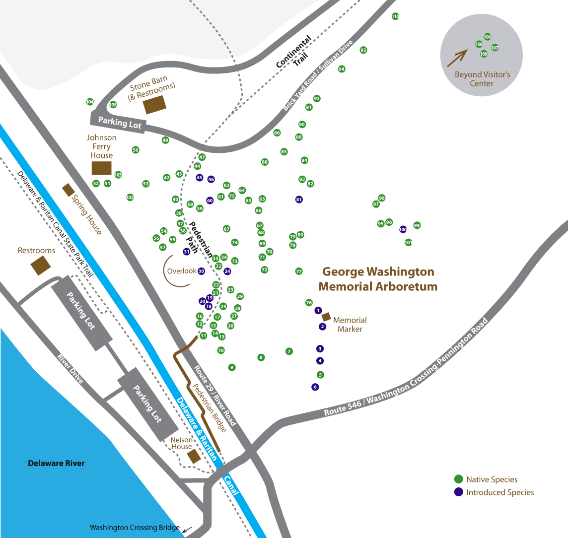 Washington Arboretum — Washington Crossing Park Association, NJ