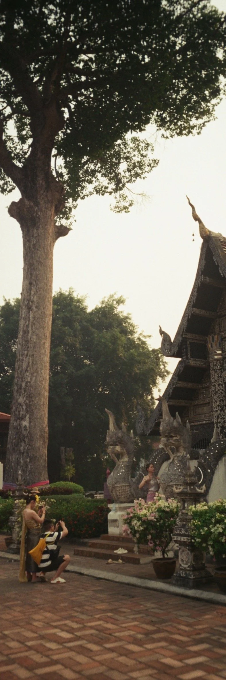 Strollin' Thailand — M-M-T