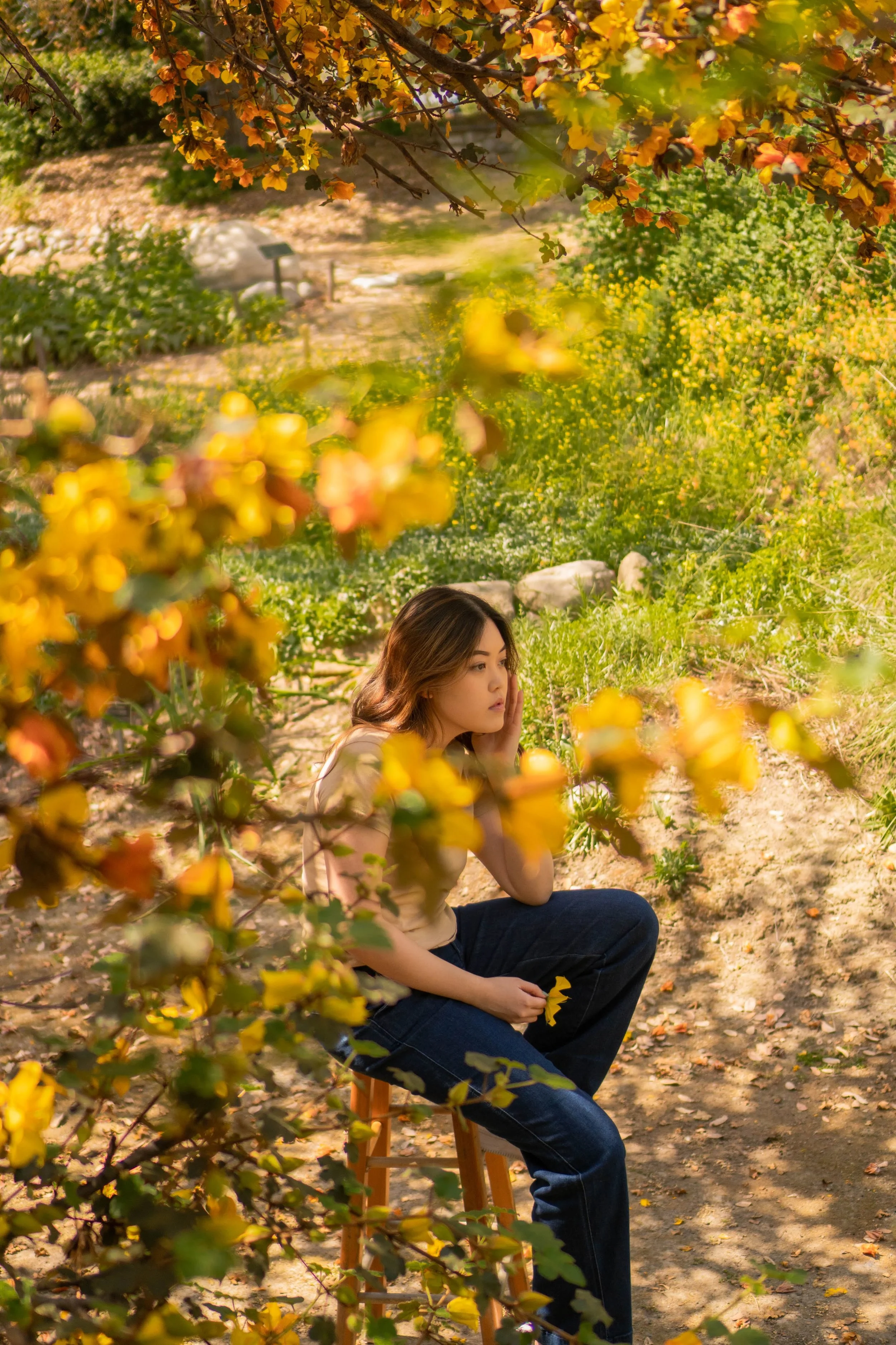 Photography — cathy bui