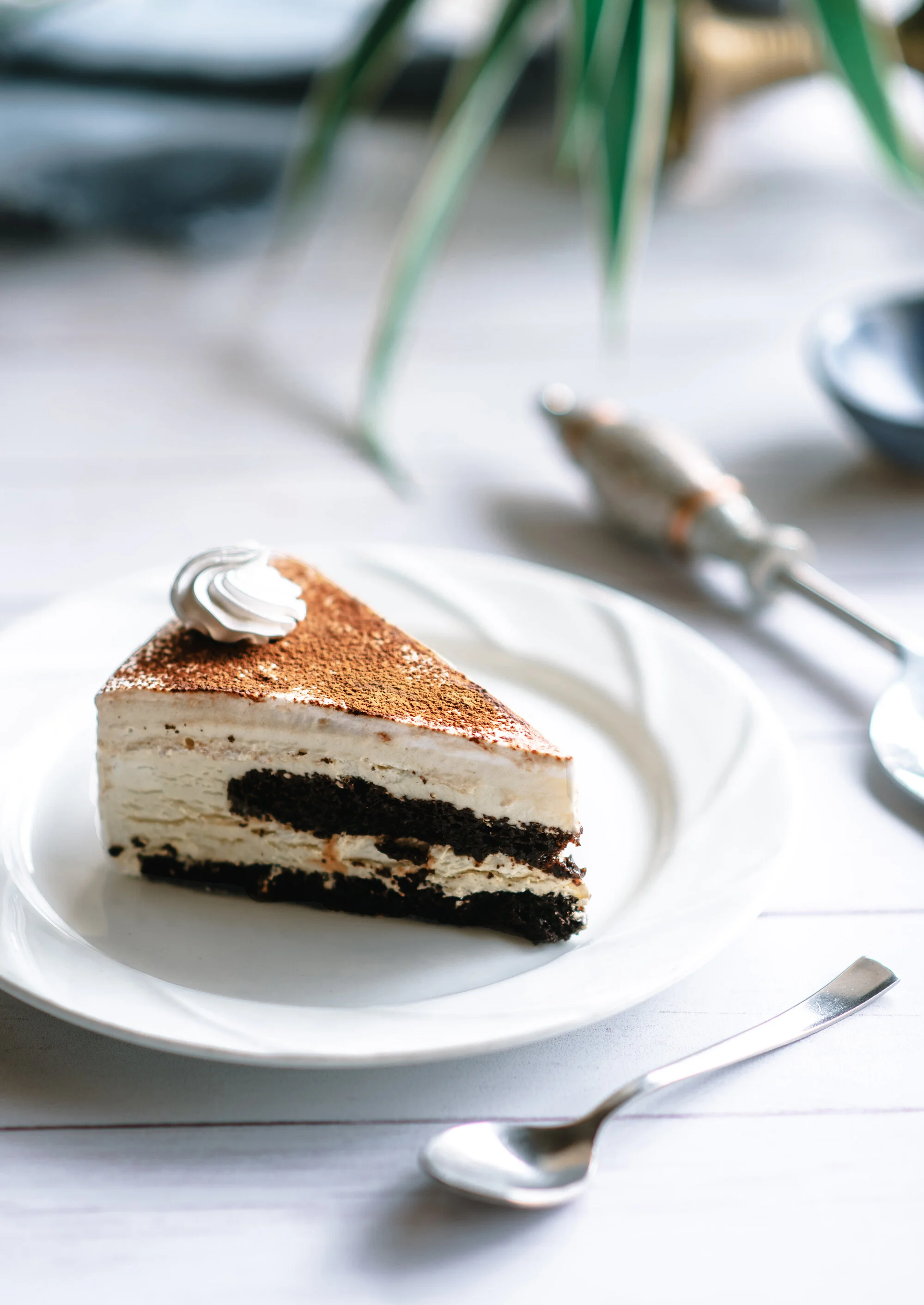 Bangalore's Leading Food and Product Photography Studio