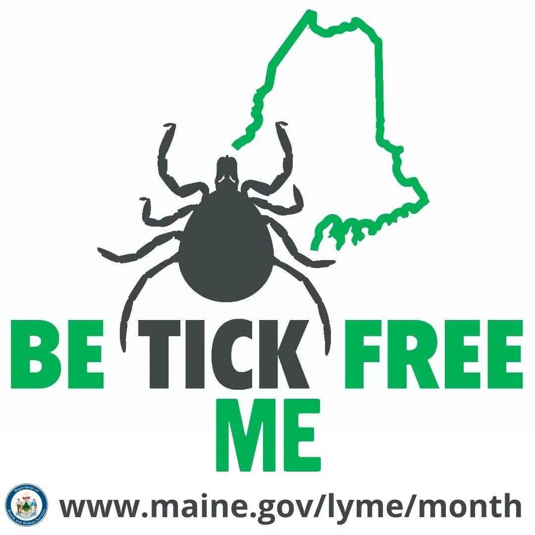 Greater Lovell Land Trust