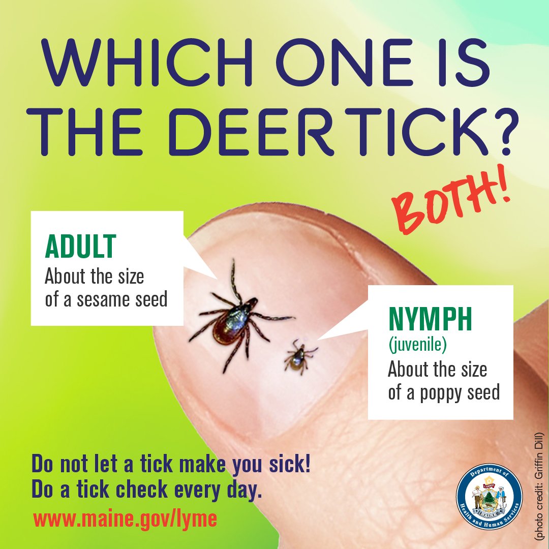 Greater Lovell Land Trust