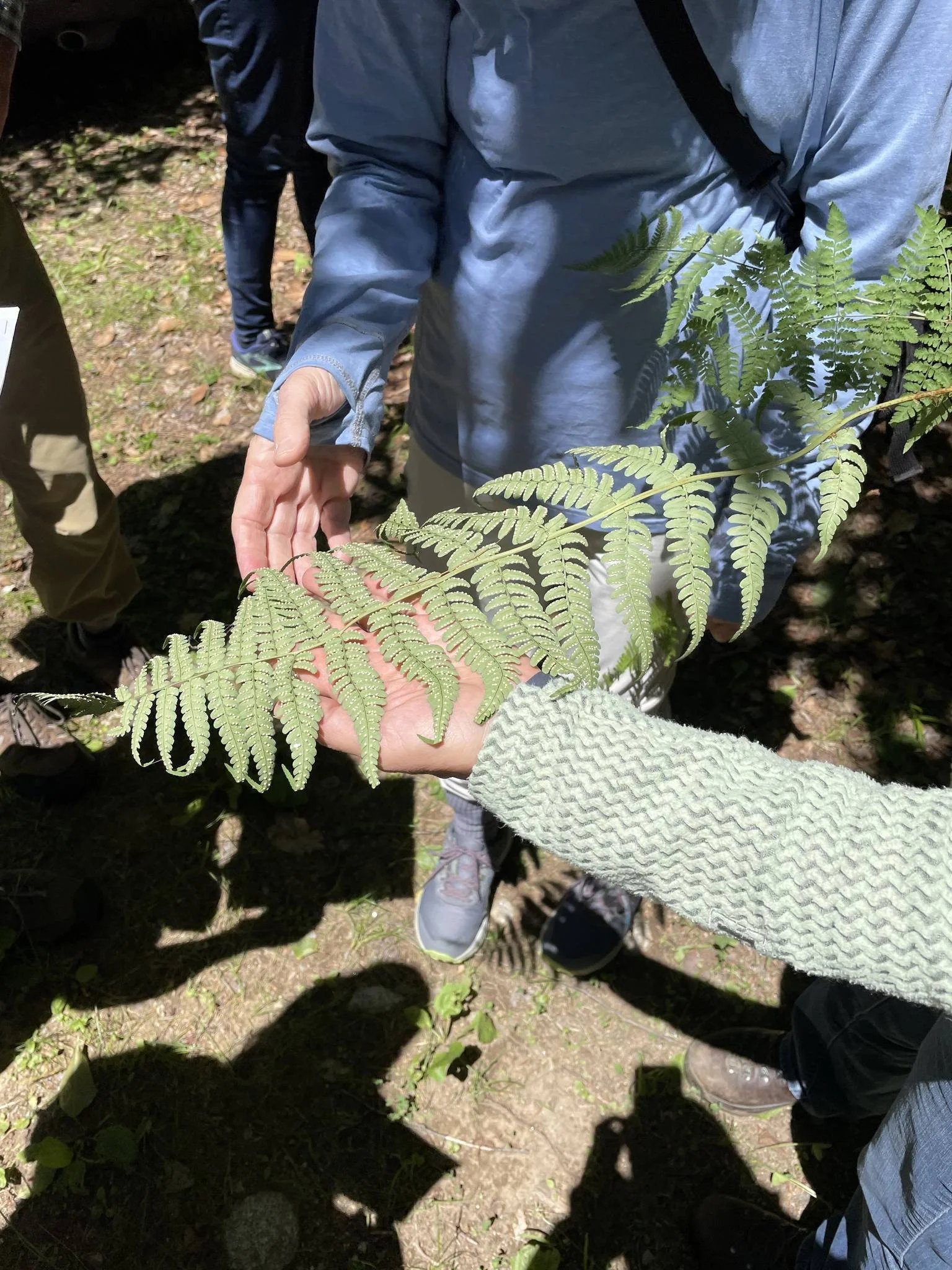 Greater Lovell Land Trust