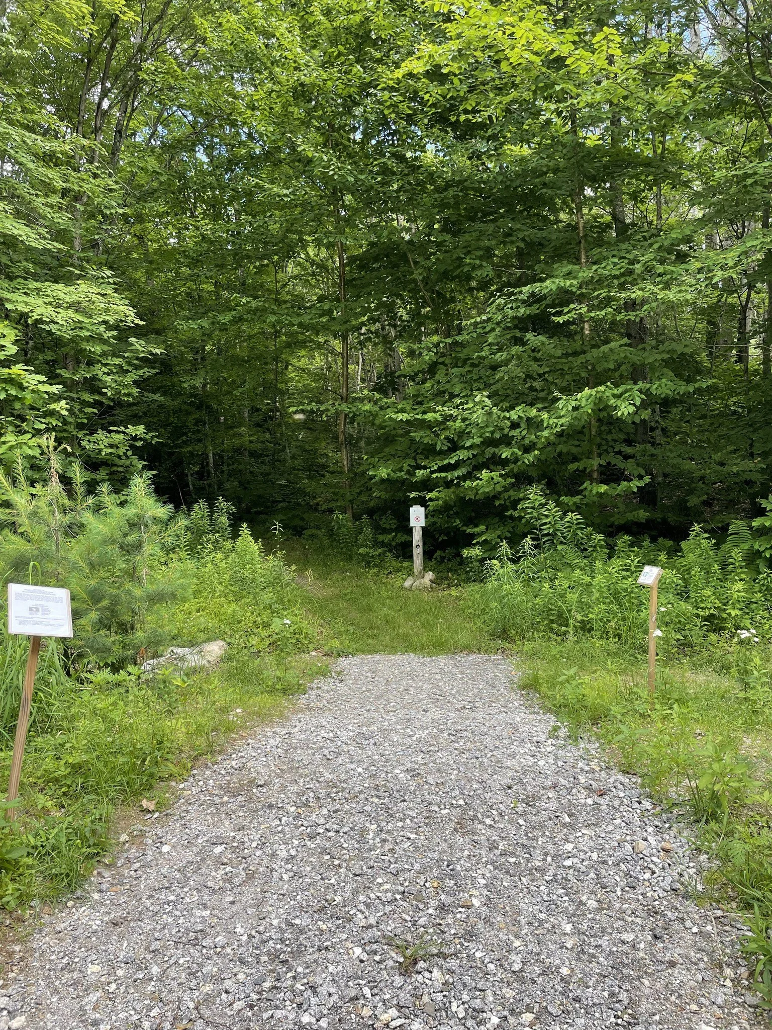 Greater Lovell Land Trust