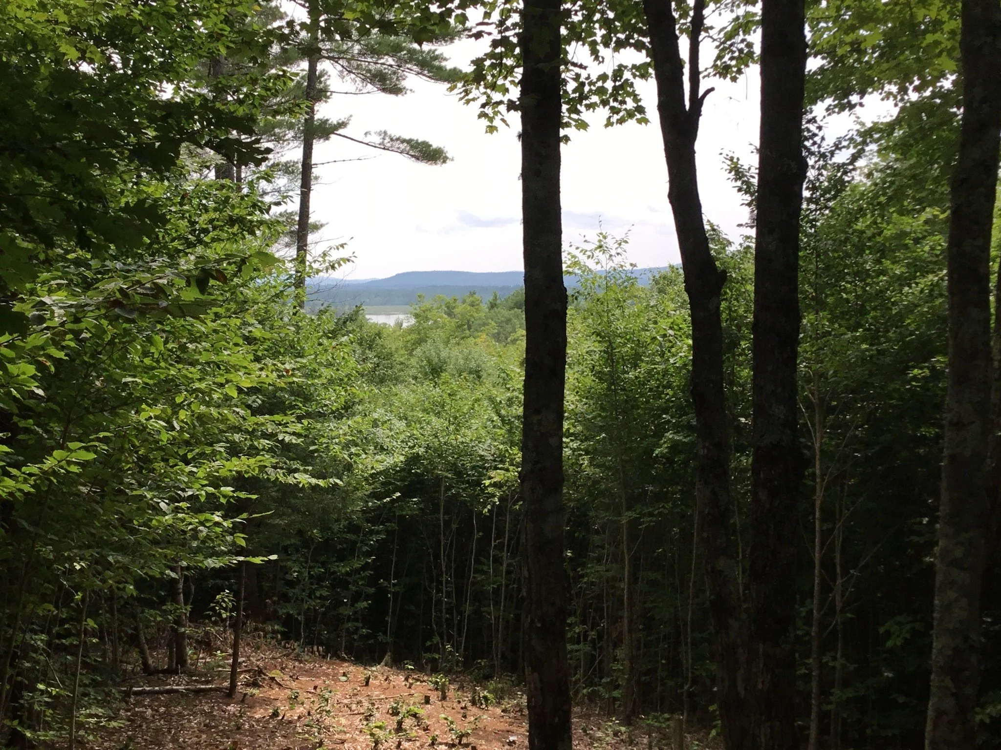 Greater Lovell Land Trust