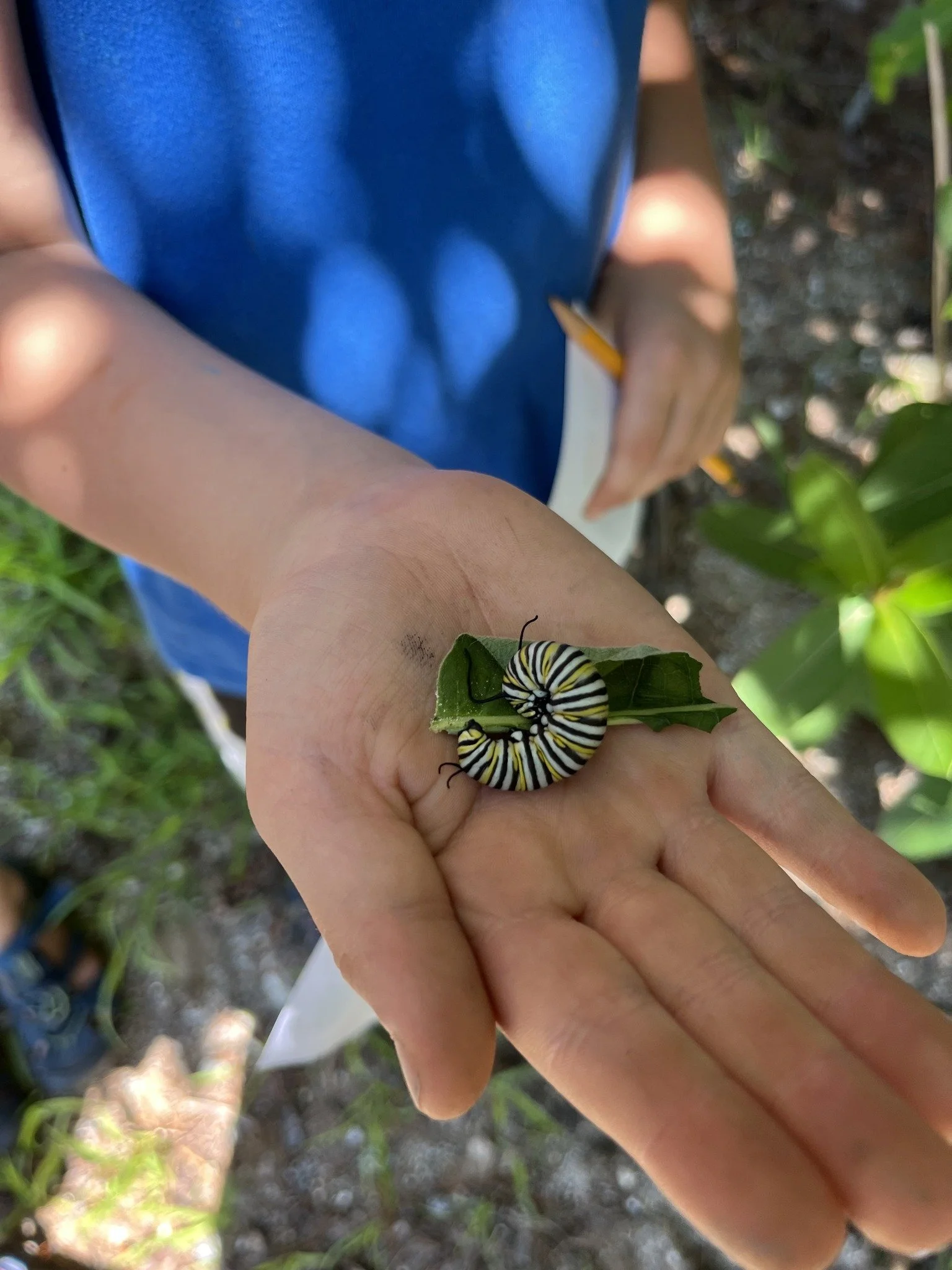 GLLT Properties-Additional Information — Greater Lovell Land Trust