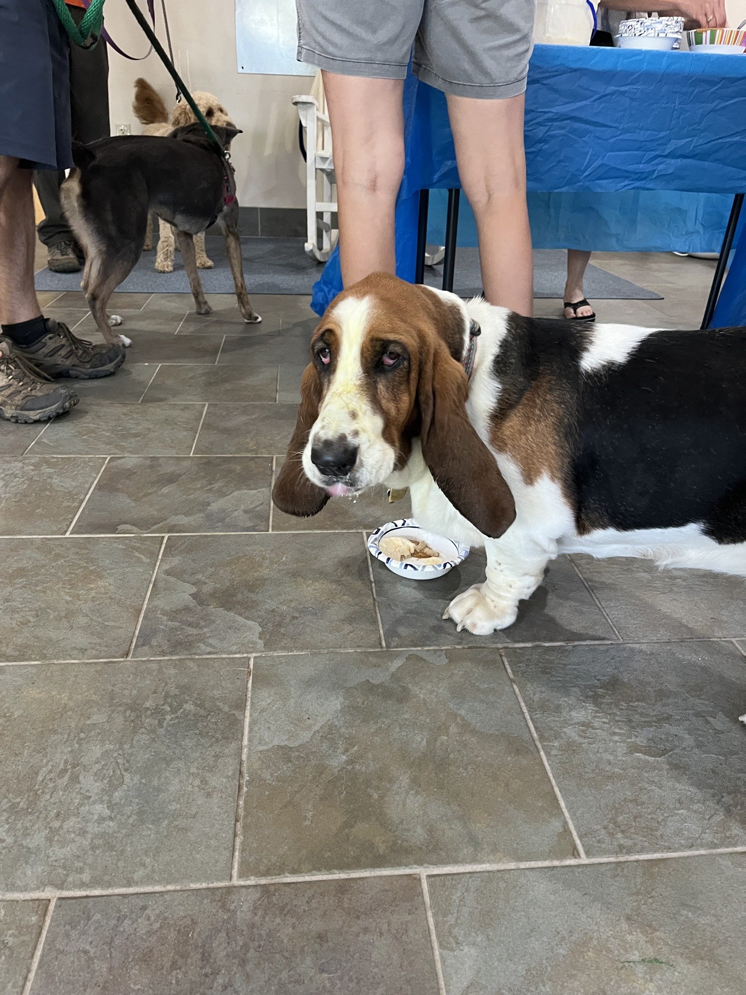 Greater Lovell Land Trust