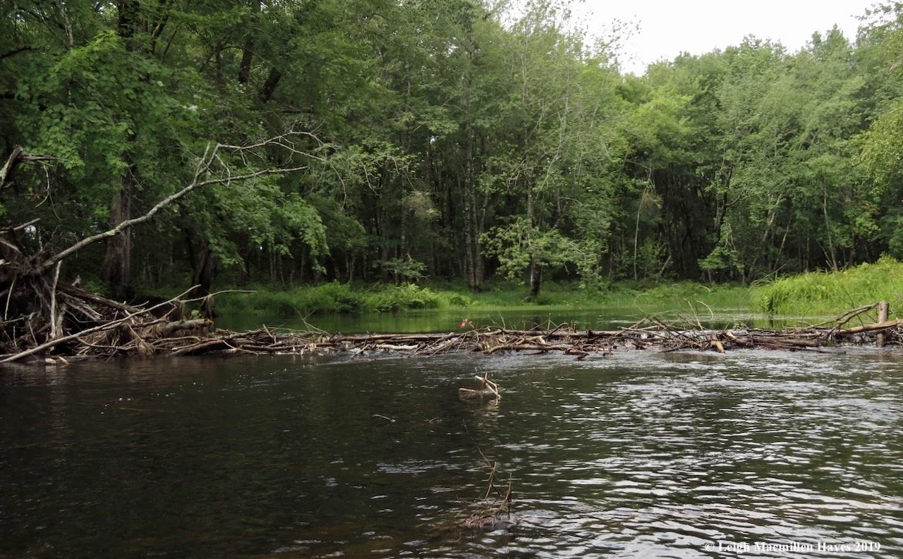 Who We Are — Greater Lovell Land Trust