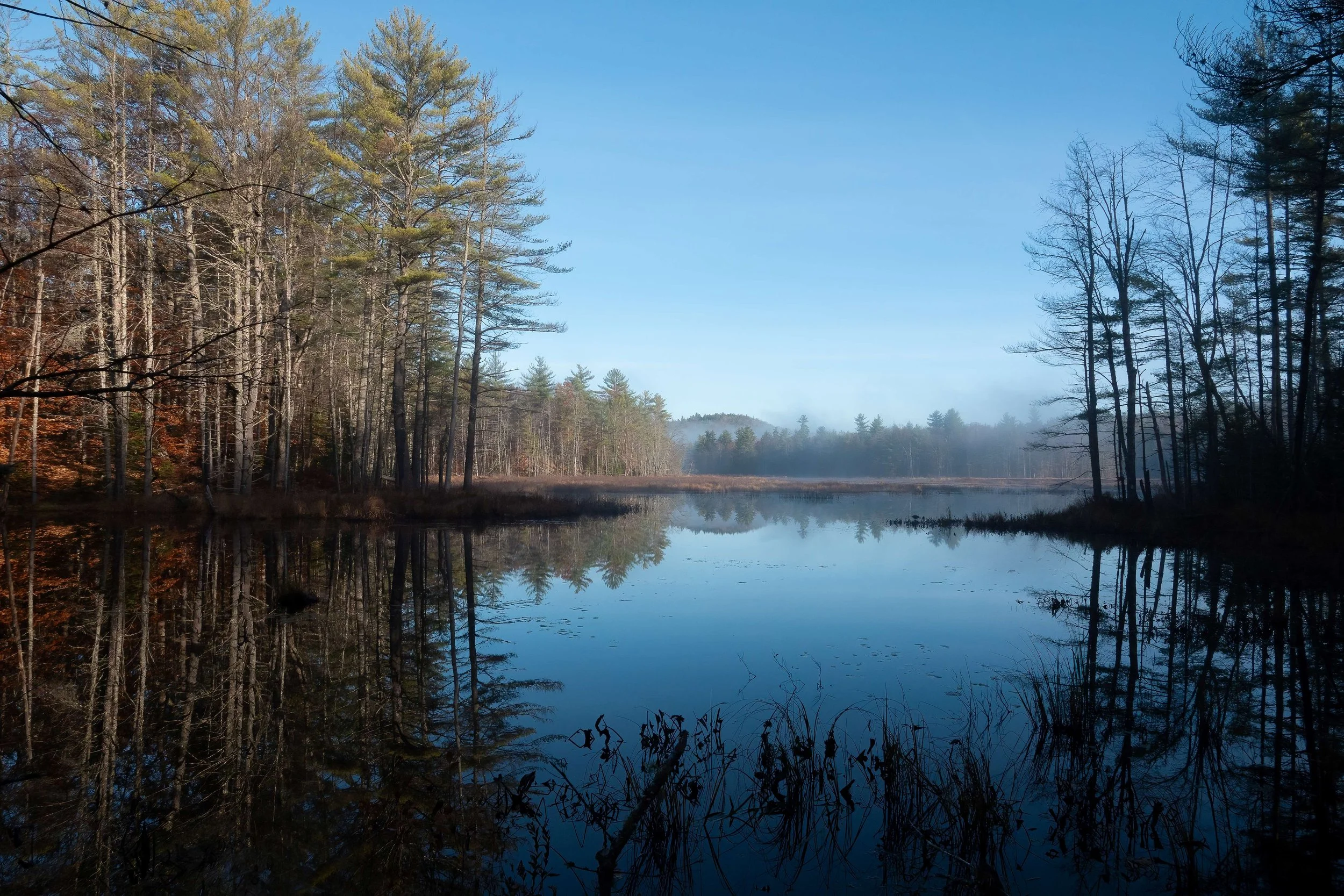 Greater Lovell Land Trust