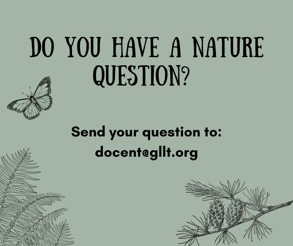 Greater Lovell Land Trust