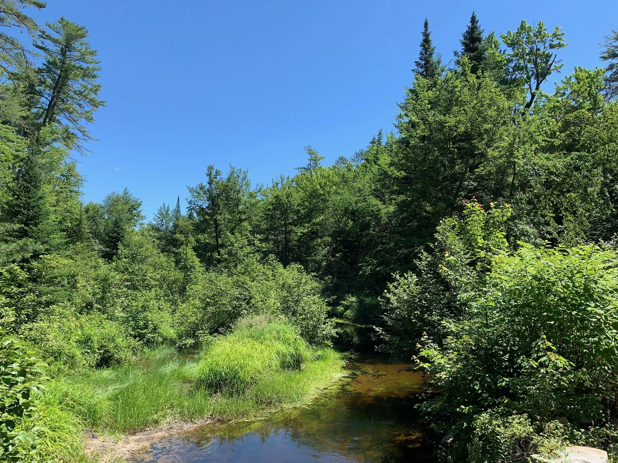 Greater Lovell Land Trust