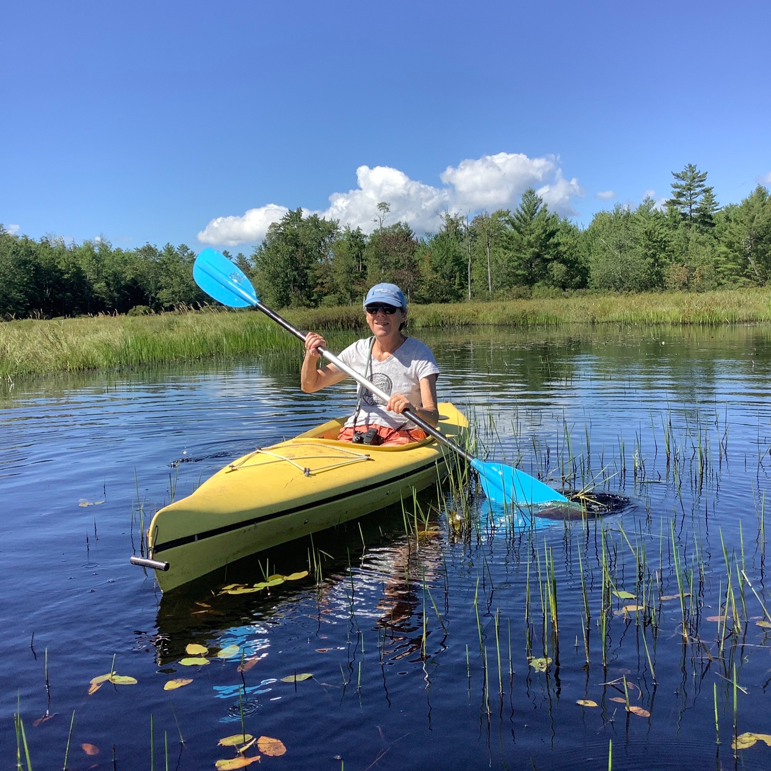 Greater Lovell Land Trust