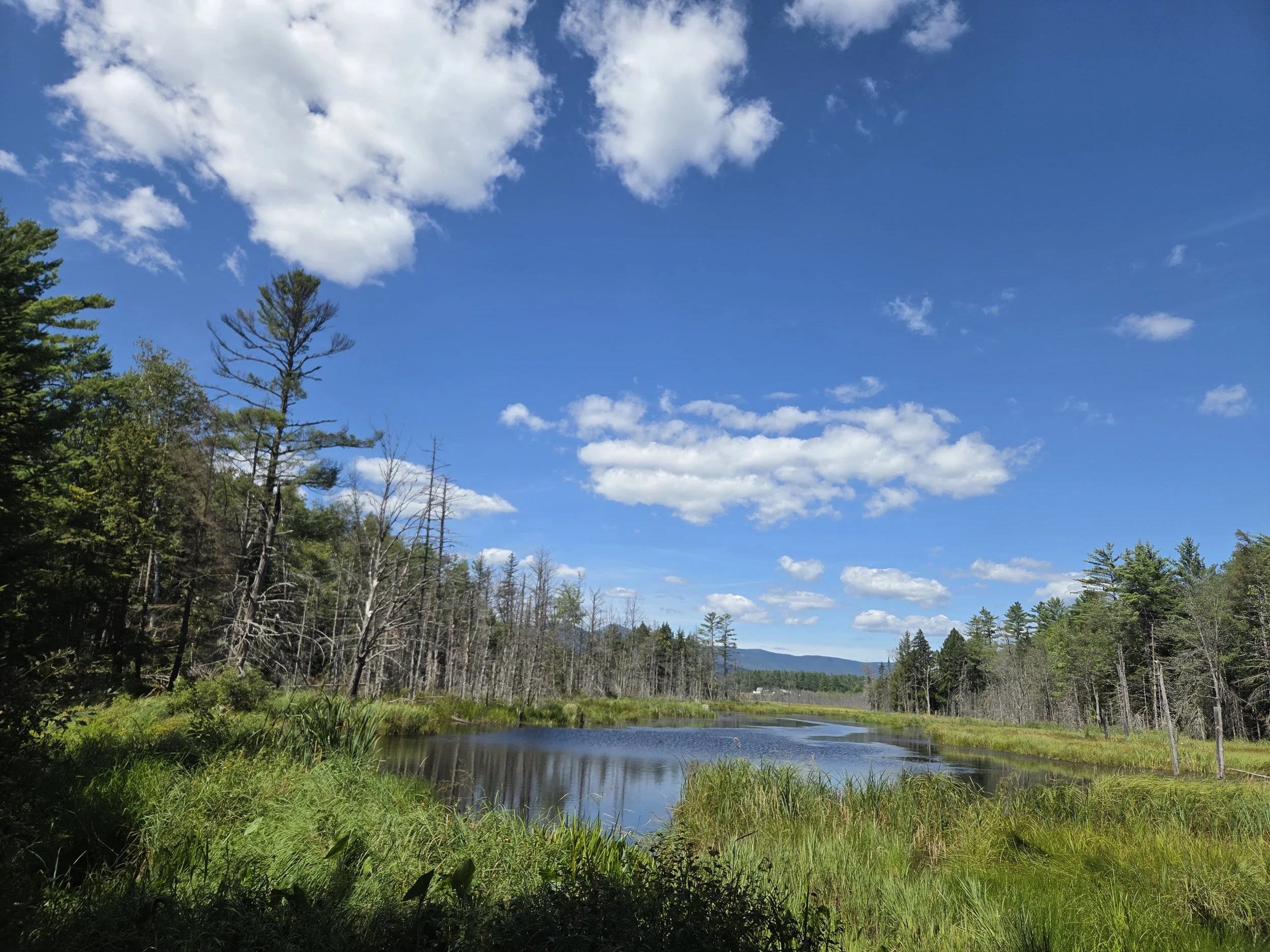 Greater Lovell Land Trust