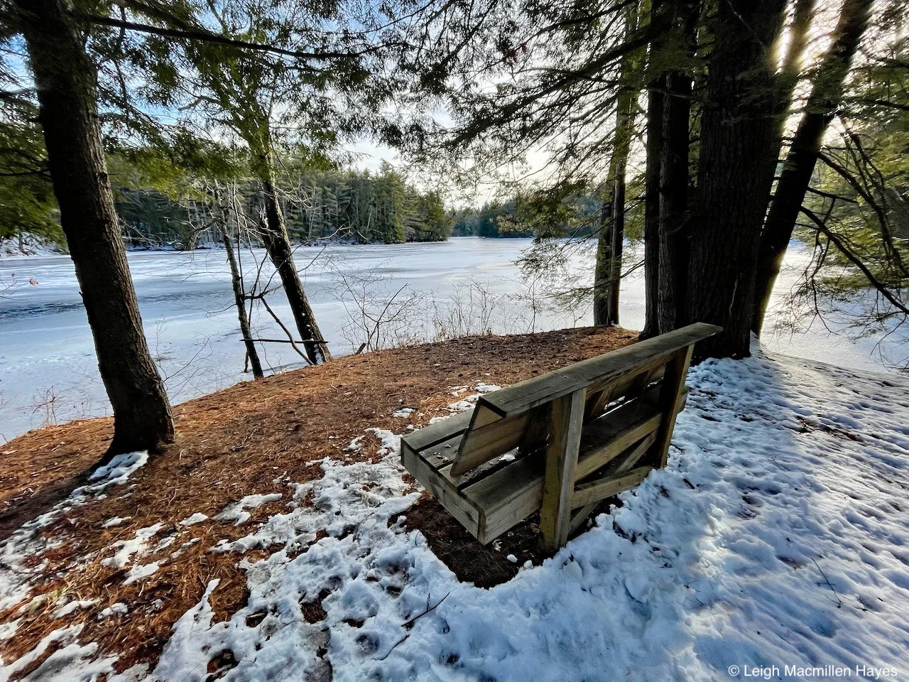 Greater Lovell Land Trust