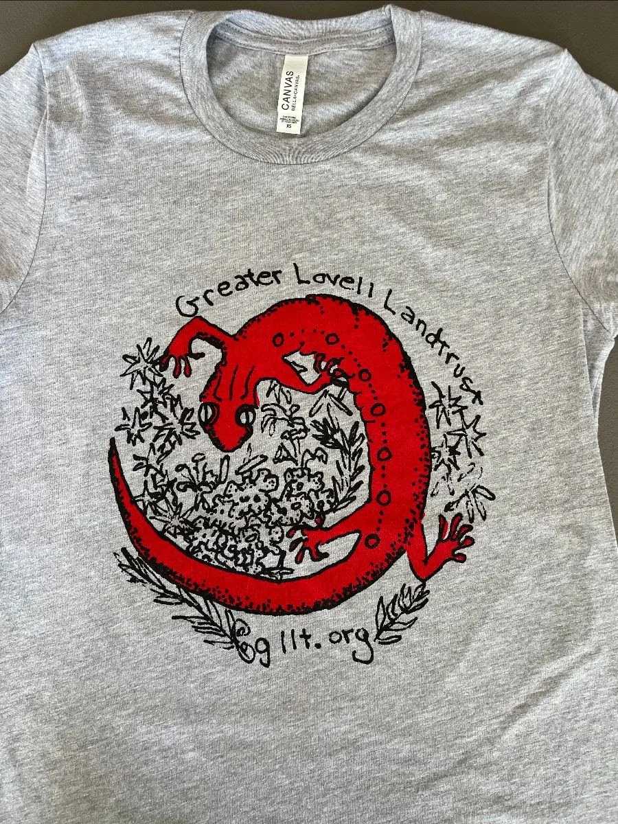 Merchandise — Greater Lovell Land Trust