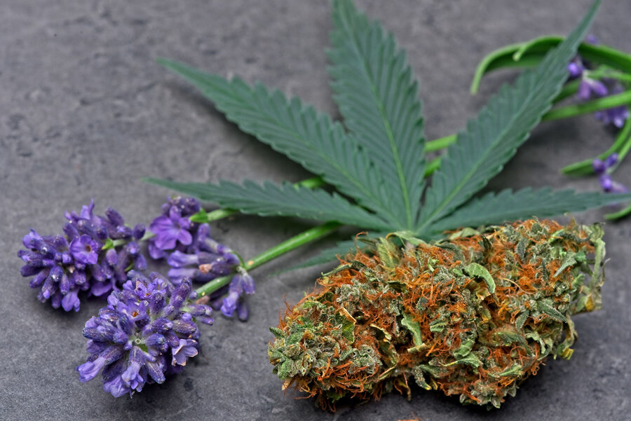 Most Weed Ever Found